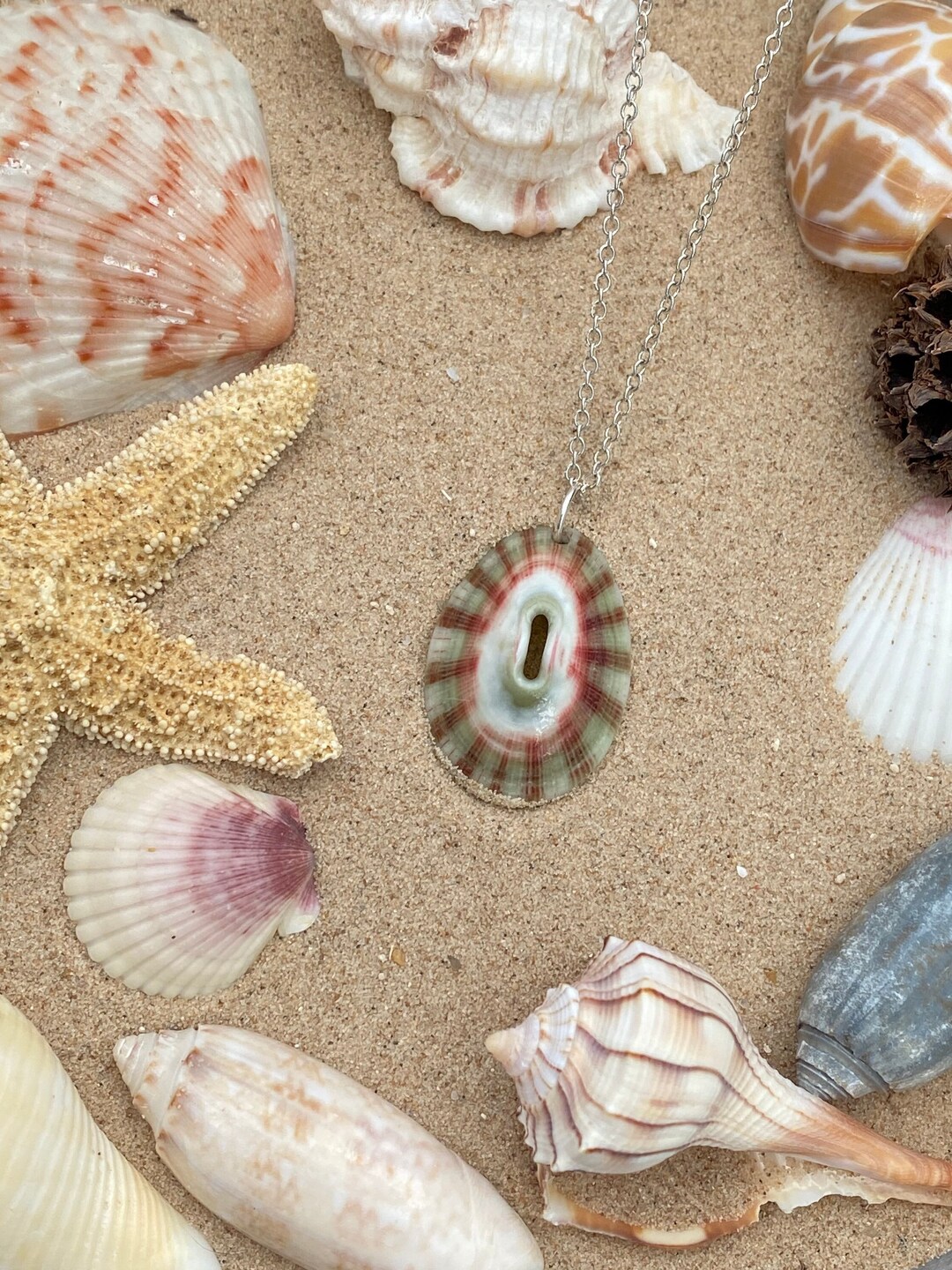 Rosy Keyhole Limpet Seashell Pendant Necklace - Etsy