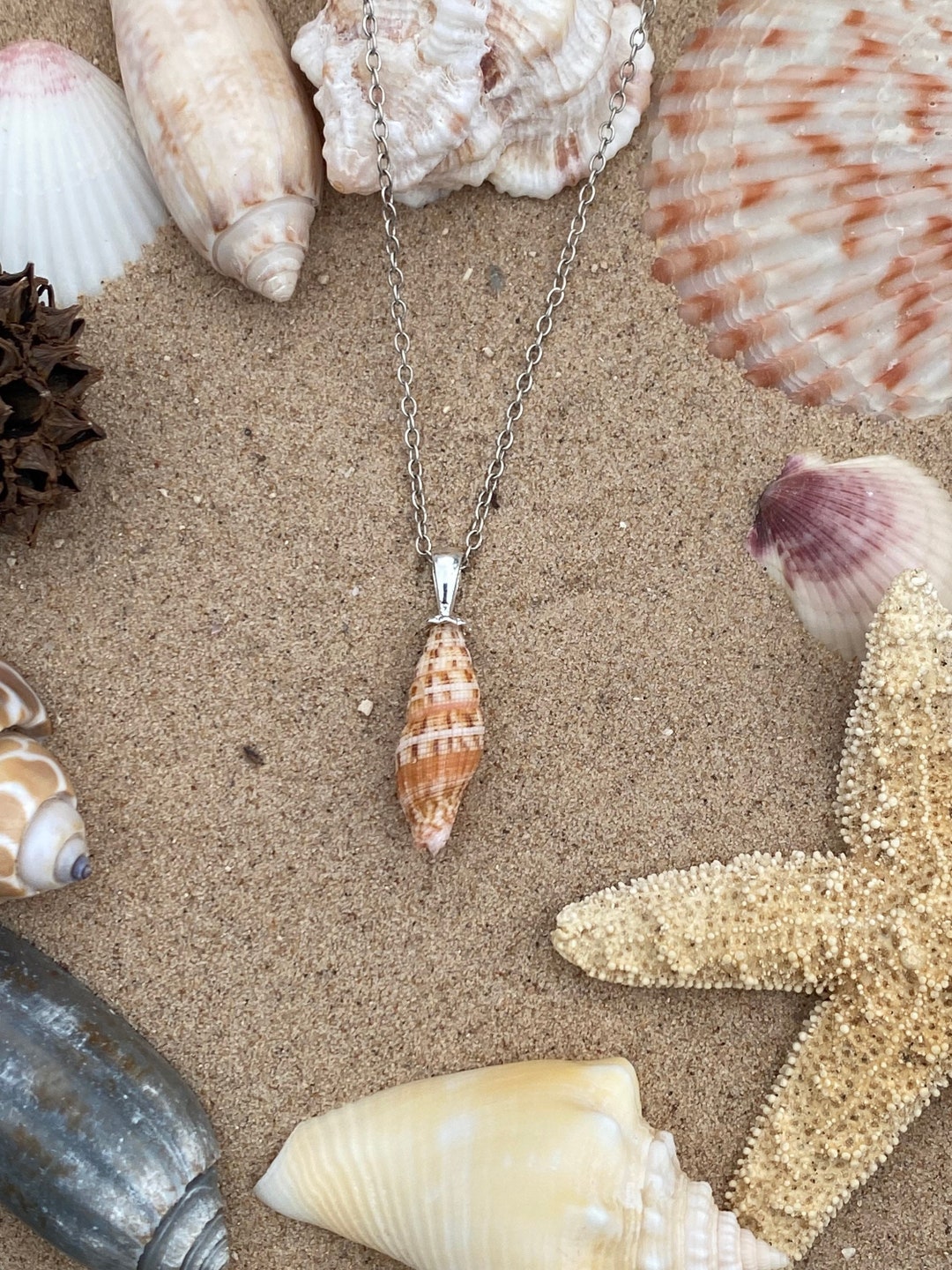 Vexillum Acupictum (pinpricked Mitre) Seashell Pendant Necklace - Etsy