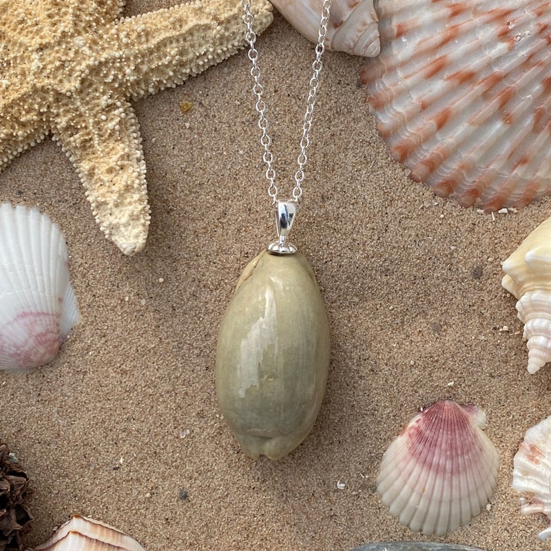 Cowrie Necklace - Etsy