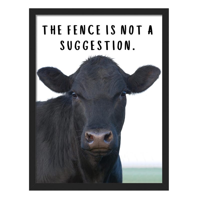 Funny Cow Poster, Fun Animal Quote Print, Quirky Mad Cow Wall Decor for ...