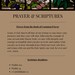 August Monthly Saints *month Long Unit Study* (catholic/anglican ...