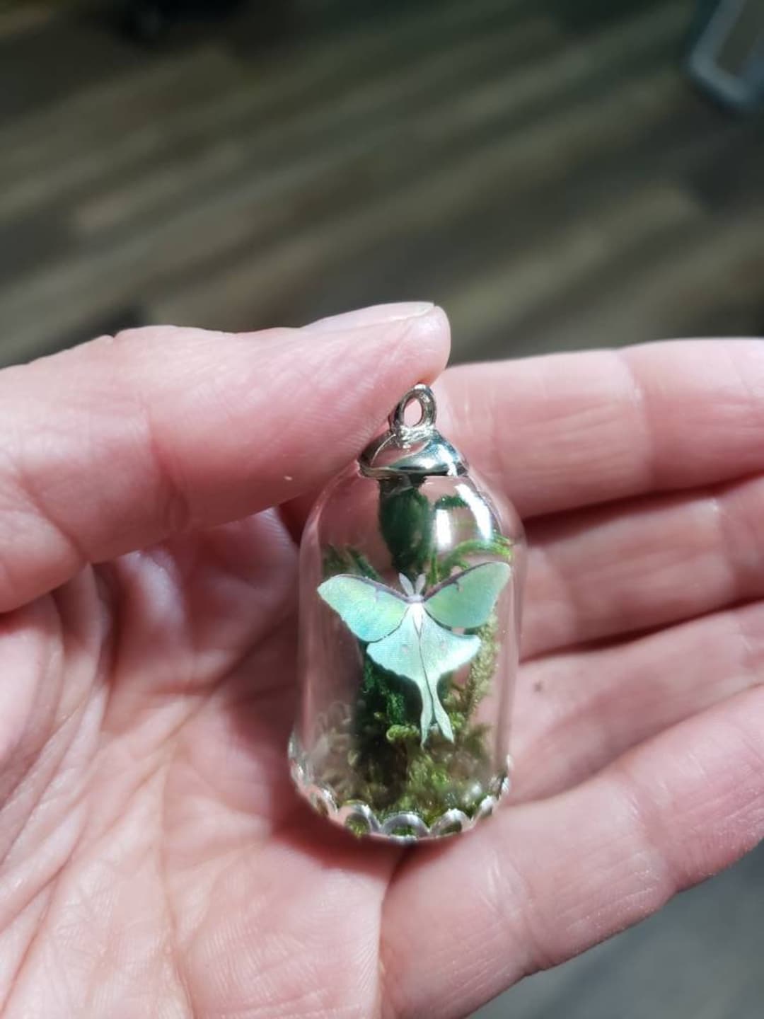 Luna Moth/ Butterfly Micro Terrarium Curio Pendant - Etsy