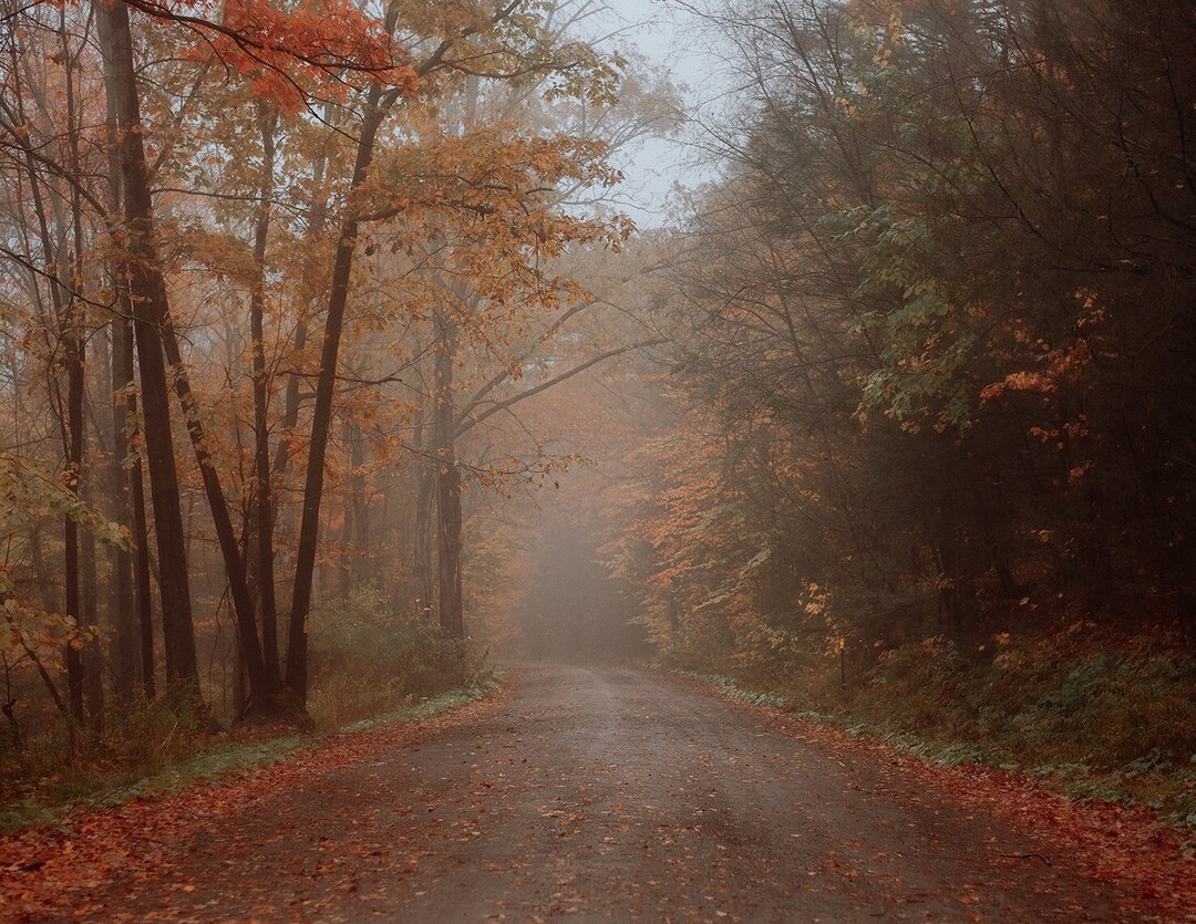 Fall Digital Background - Etsy