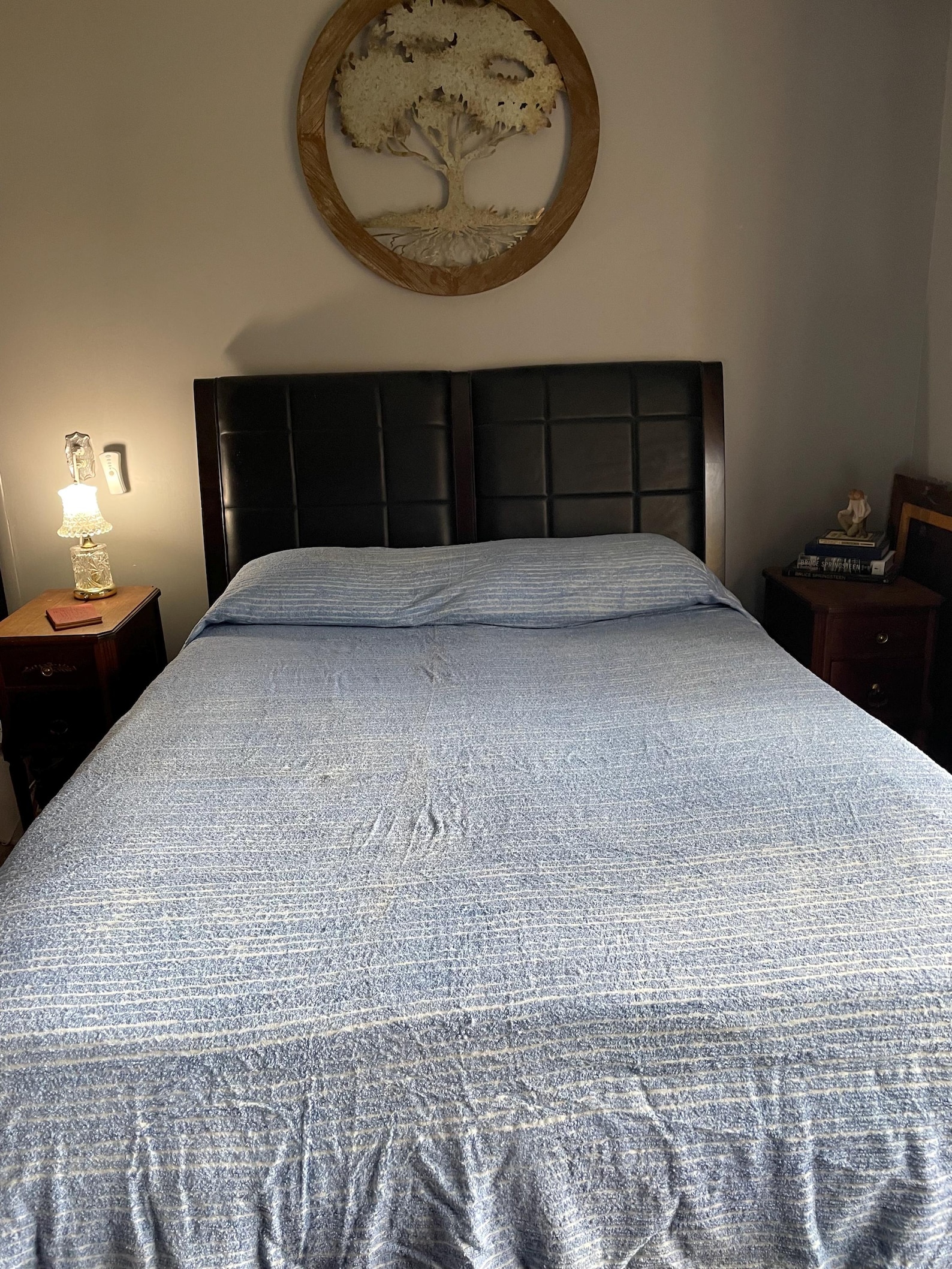 Vintage Chenille Bedspread in Blue Cotton. the Chenille is a Short ...