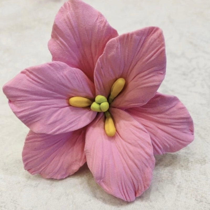 Lily 3d Silicone Mold - Etsy
