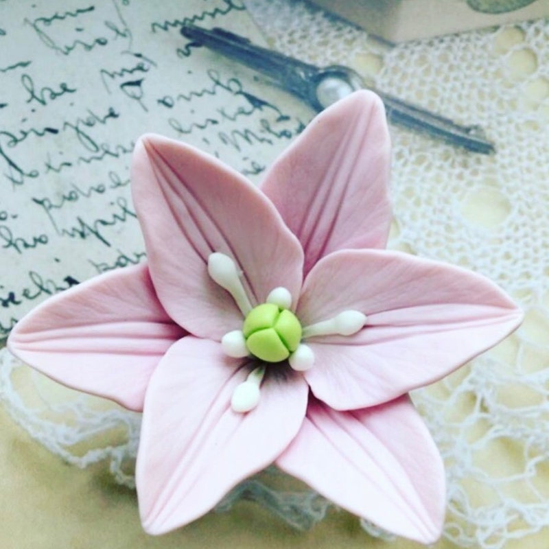 Lily 3d Silicone Mold - Etsy