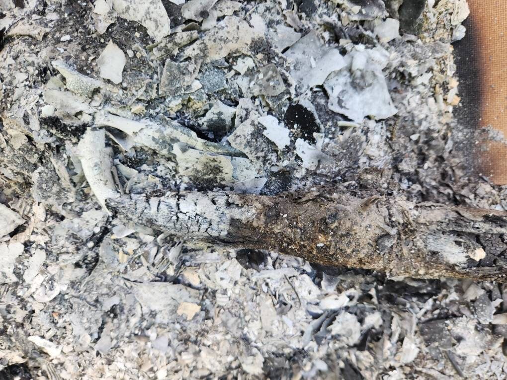 Wood Ash / Fake Cremated Remains Wood Ash From Recycled Woods (sifted ...