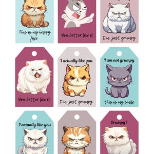 Printable Cat Gift Tags for Cat Lovers Gift Instant Download Holiday ...