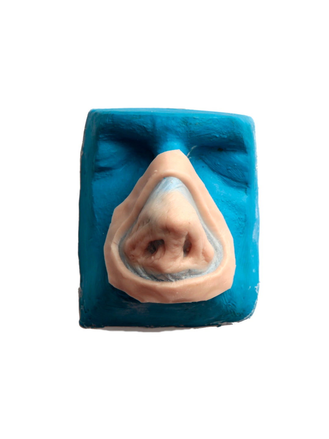 Decaying Corpse Nose / Silicone Prosthetic / Zombie Cosplay / Monsterfx ...