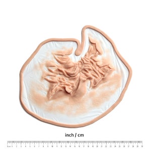 Werewolf Attack Wound (jack) / Full Face Prosthetic / Silicone ...