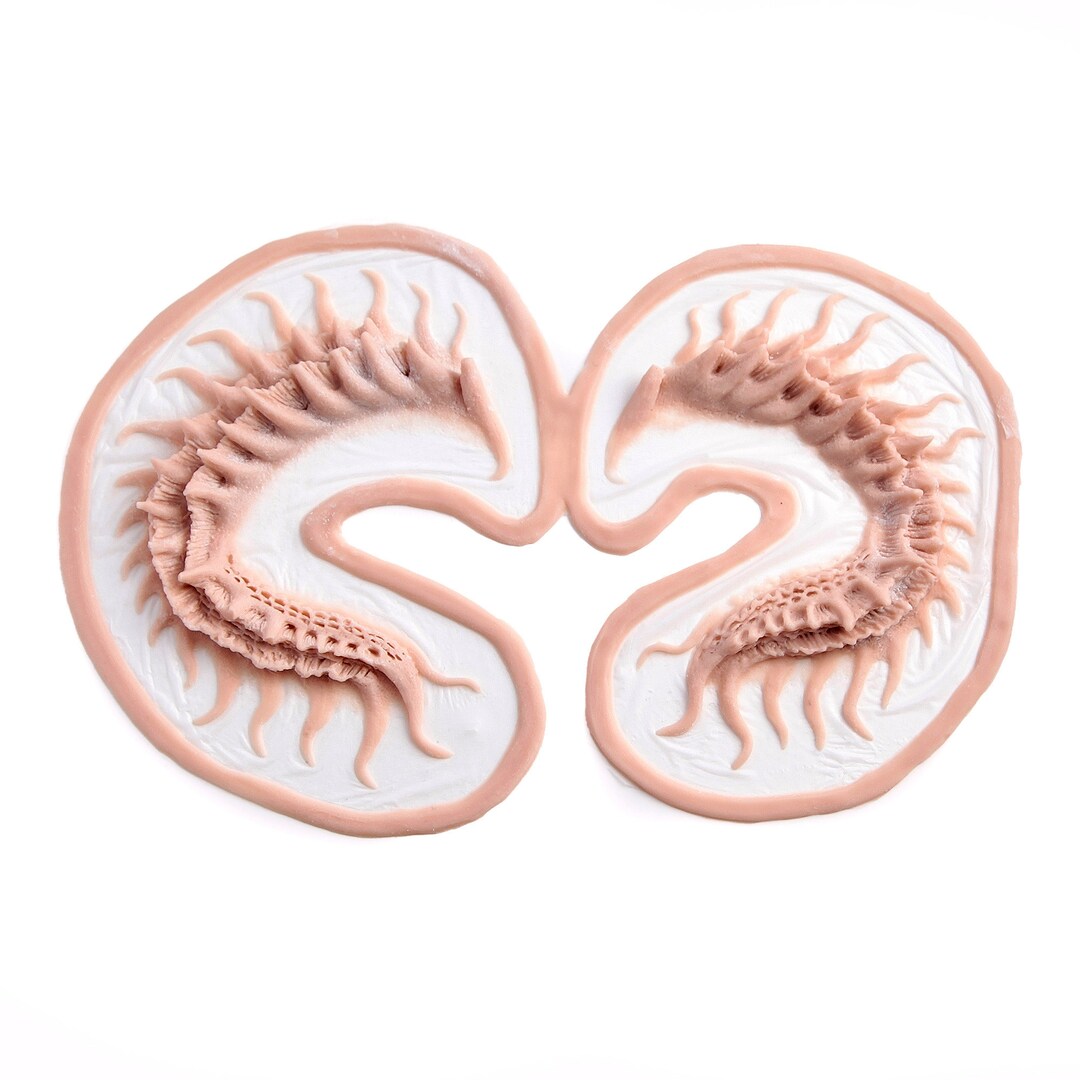 Mermaid Brow / Silicone Prosthetic / Halloween Prosthetic / Monsterfx ...