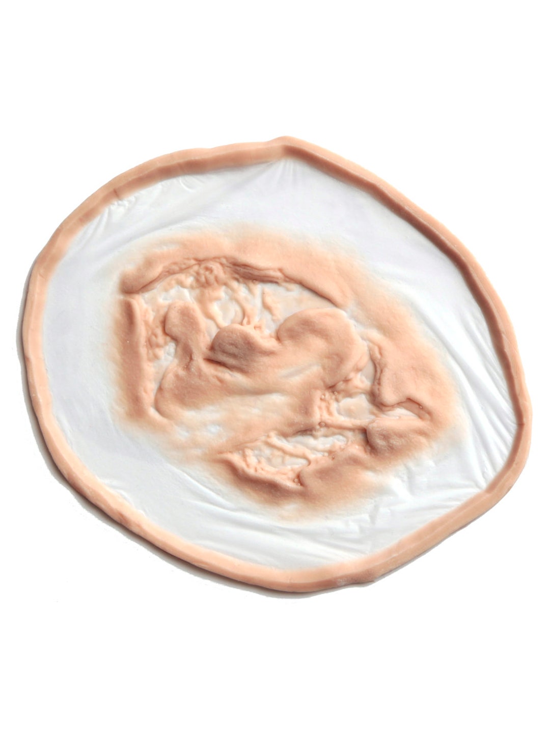 Zombie Bite 1 / Silicone Prosthetic / Zombie Prosthetic / Monsterfx ...