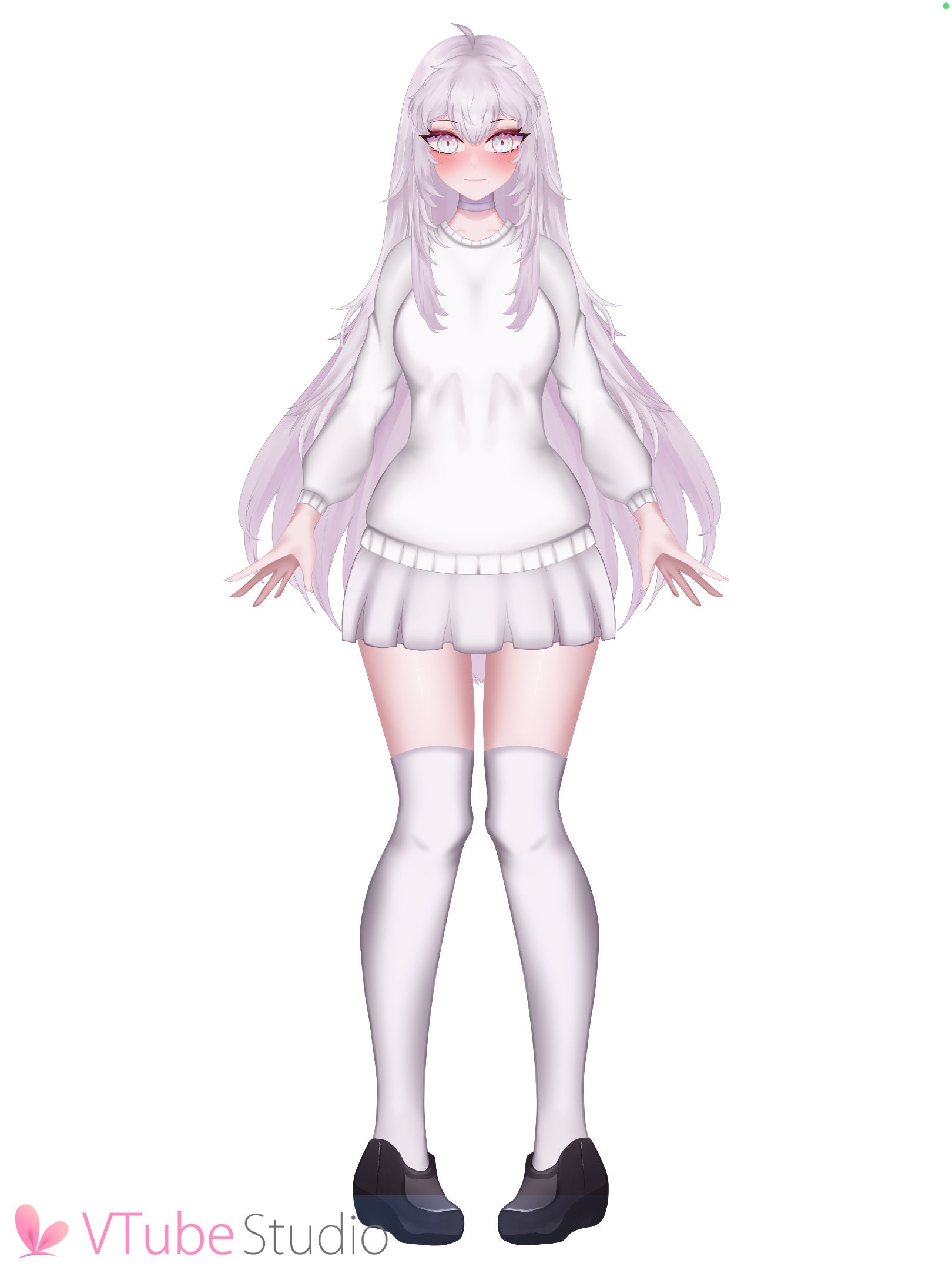 Customizable Vtuber Model art & Rig Premade - Etsy Canada