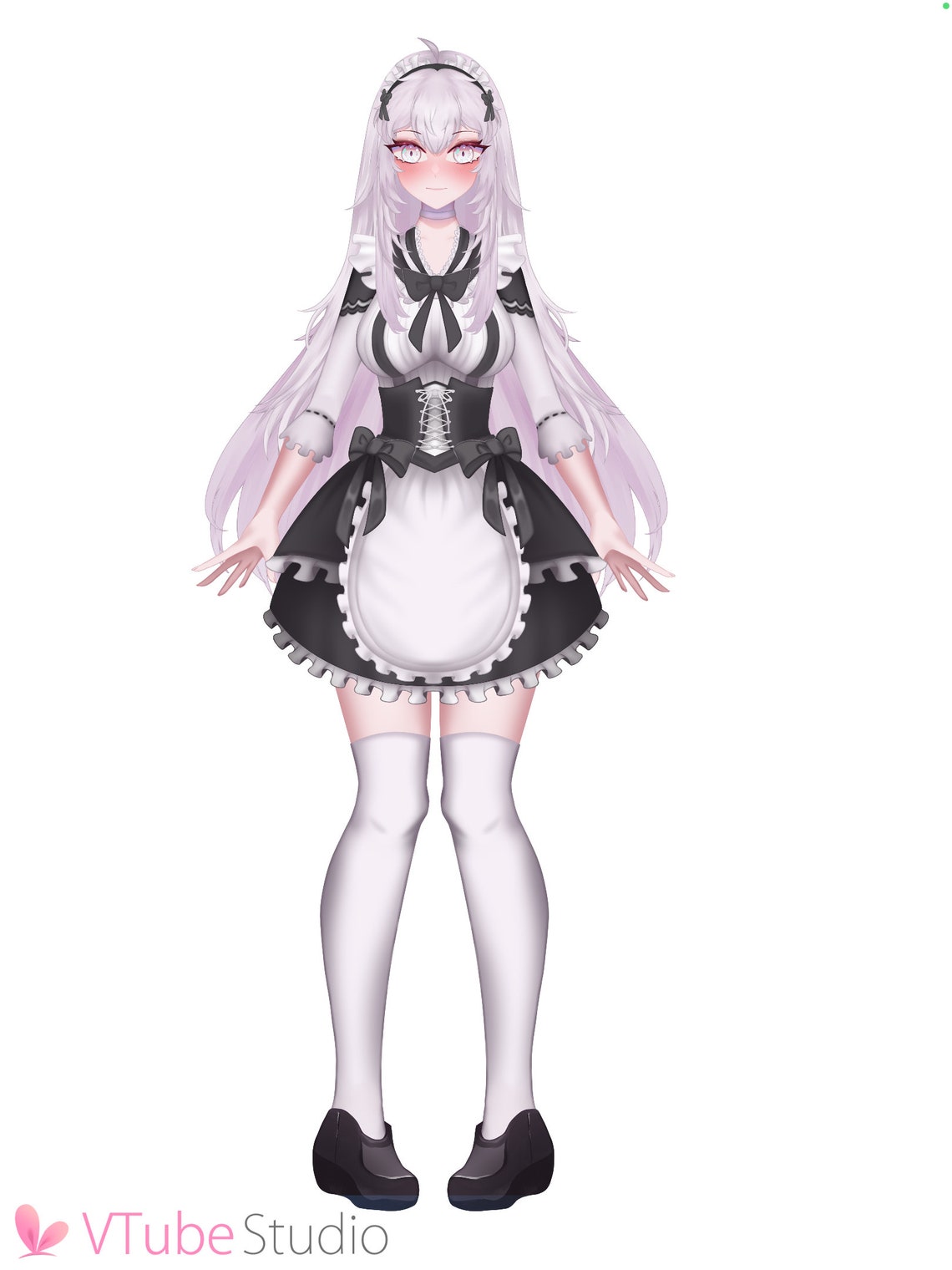 Customizable Vtuber Model art & Rig Premade - Etsy