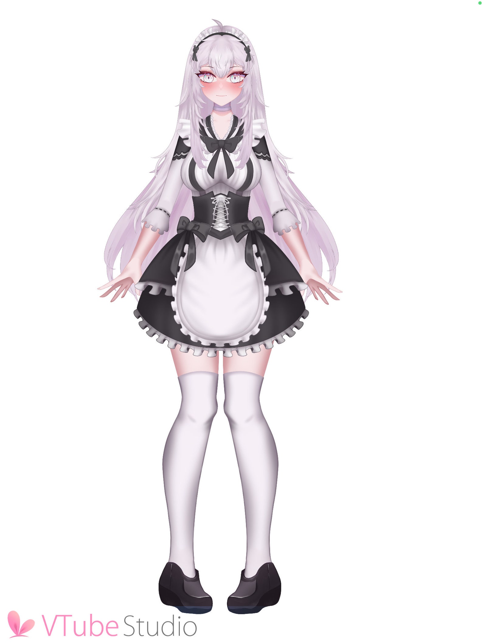 Customizable Vtuber Model art & Rig Premade - Etsy