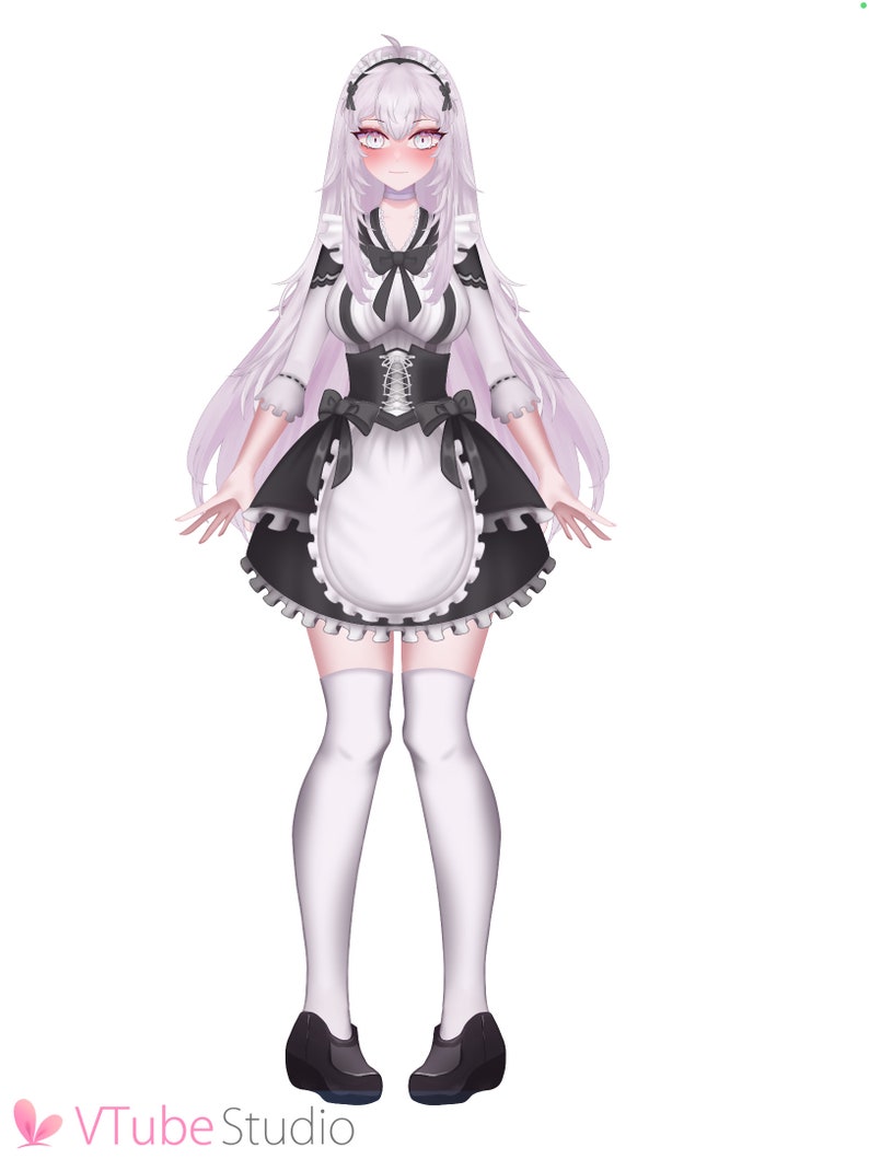 Customizable Vtuber Model art & Rig Premade - Etsy