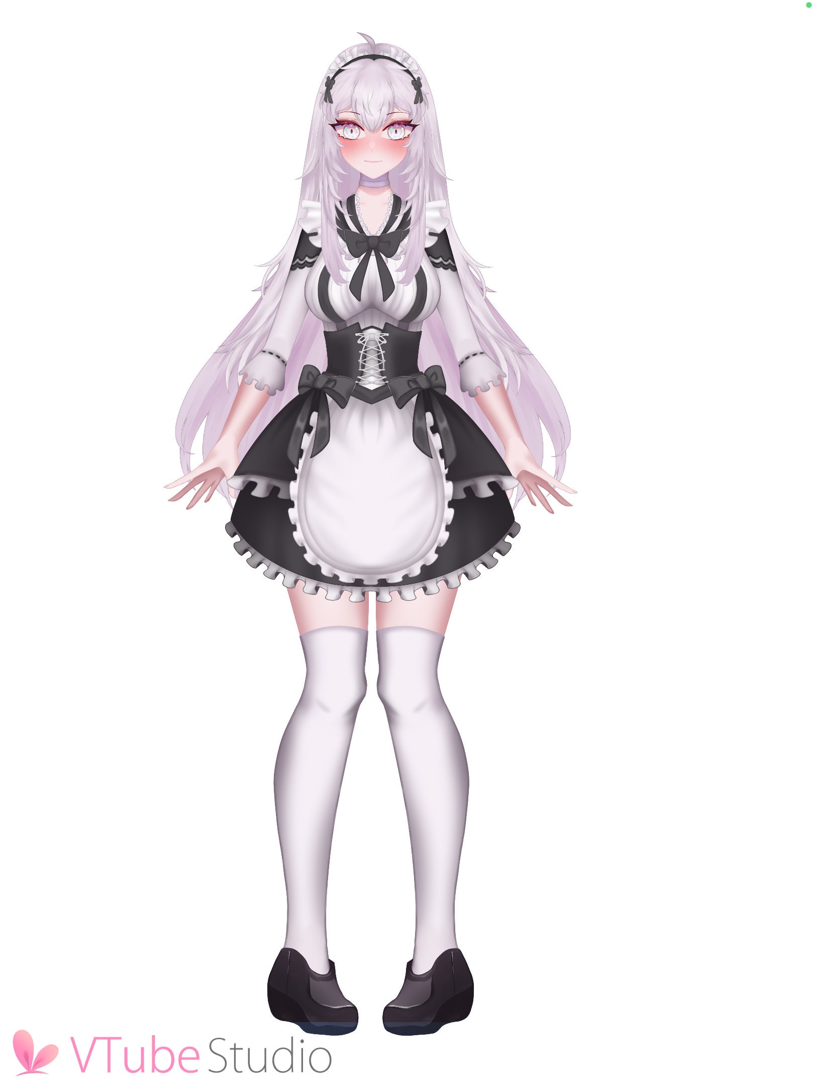Customizable Vtuber Model art & Rig Premade - Etsy