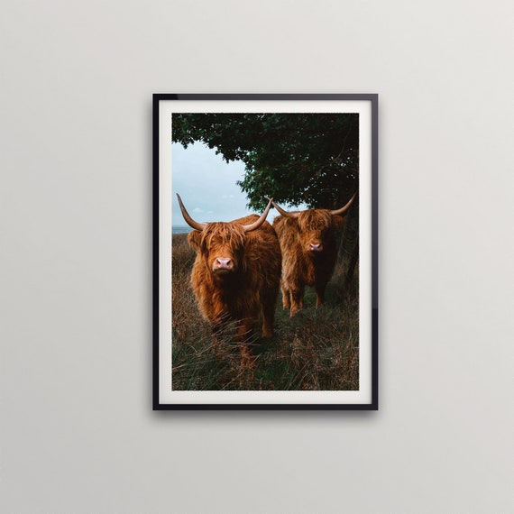 Highland Cow Pals | Etsy