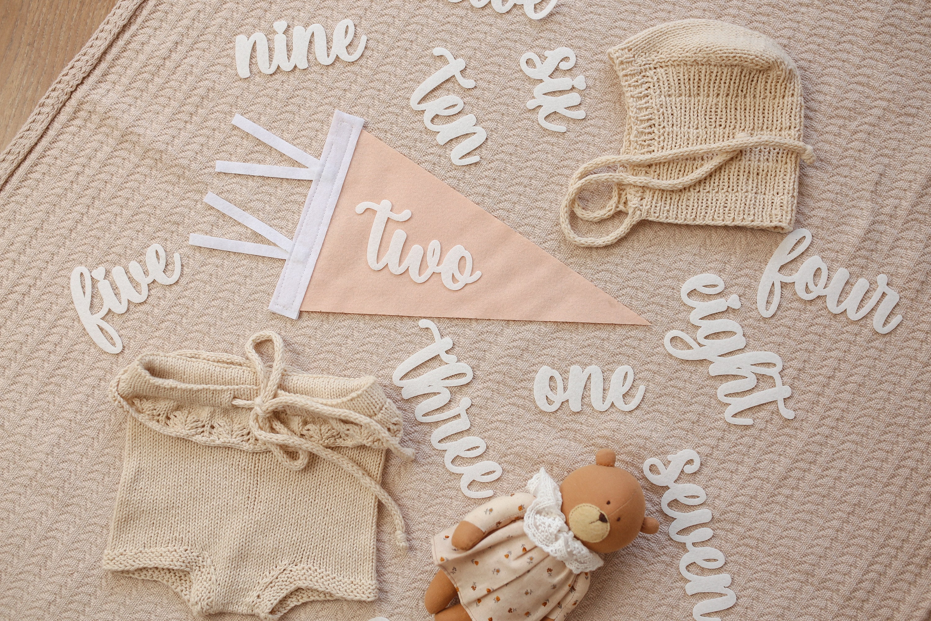 Monthly Milestone Pennant, Baby Milestone Monthly Felt Pennant, Monthly ...