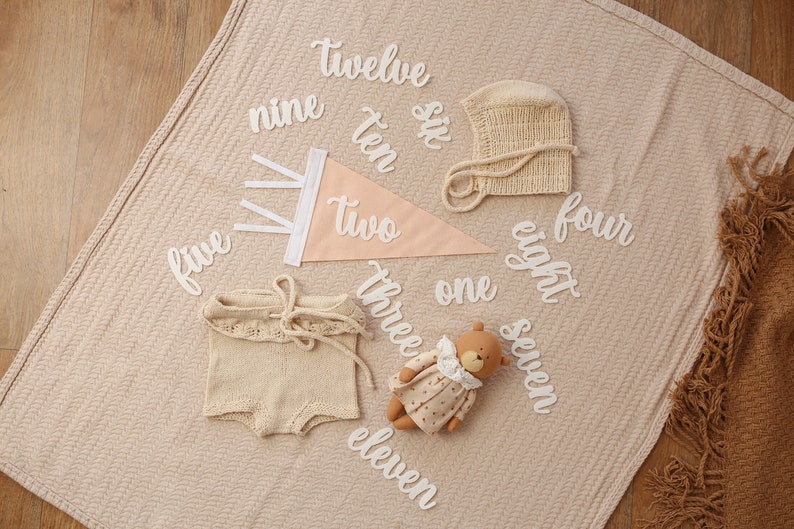 Monthly Milestone Pennant, Baby Milestone Monthly Felt Pennant, Monthly ...