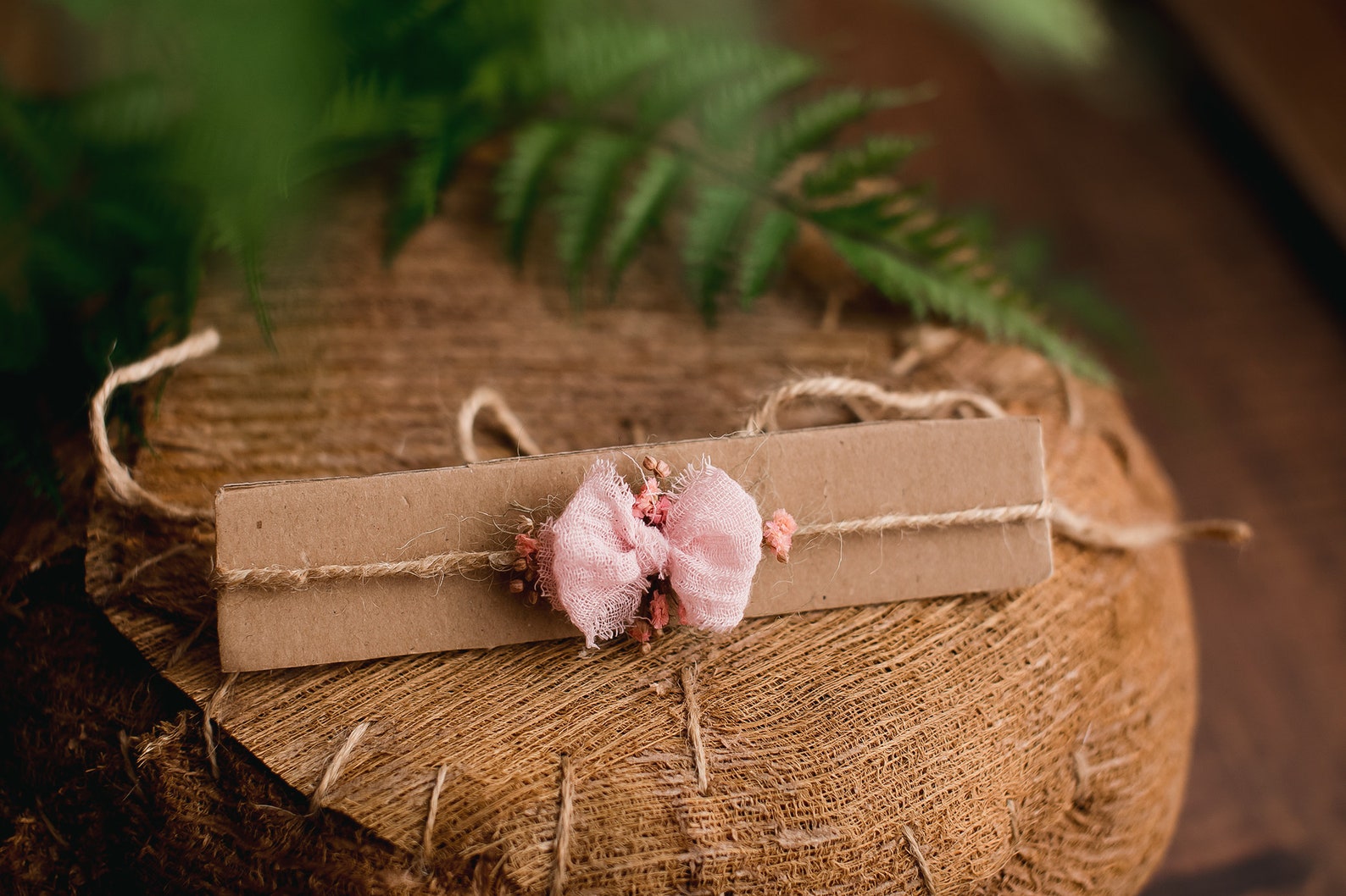 Shabby Pale Pink Bow With Natural Greenery, Vintage Style, Newborn ...