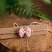 Shabby Pale Pink Bow With Natural Greenery Vintage Style - Etsy