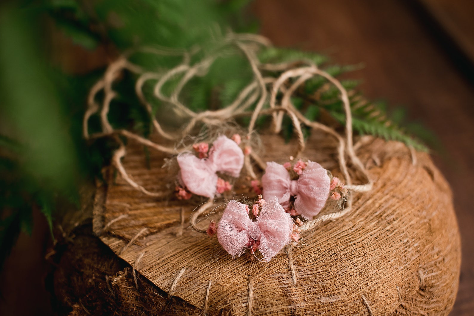 Shabby Pale Pink Bow With Natural Greenery, Vintage Style, Newborn ...