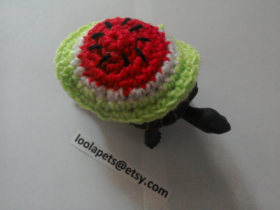 Crochet Watermelon Turtle Tortoise Costume, Turtle Sweater Cozy Tops ...
