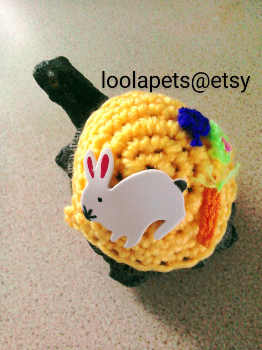 Easter Bunny Tortoise Cozy Top Spring Summer Pets Fancy Dress - Etsy