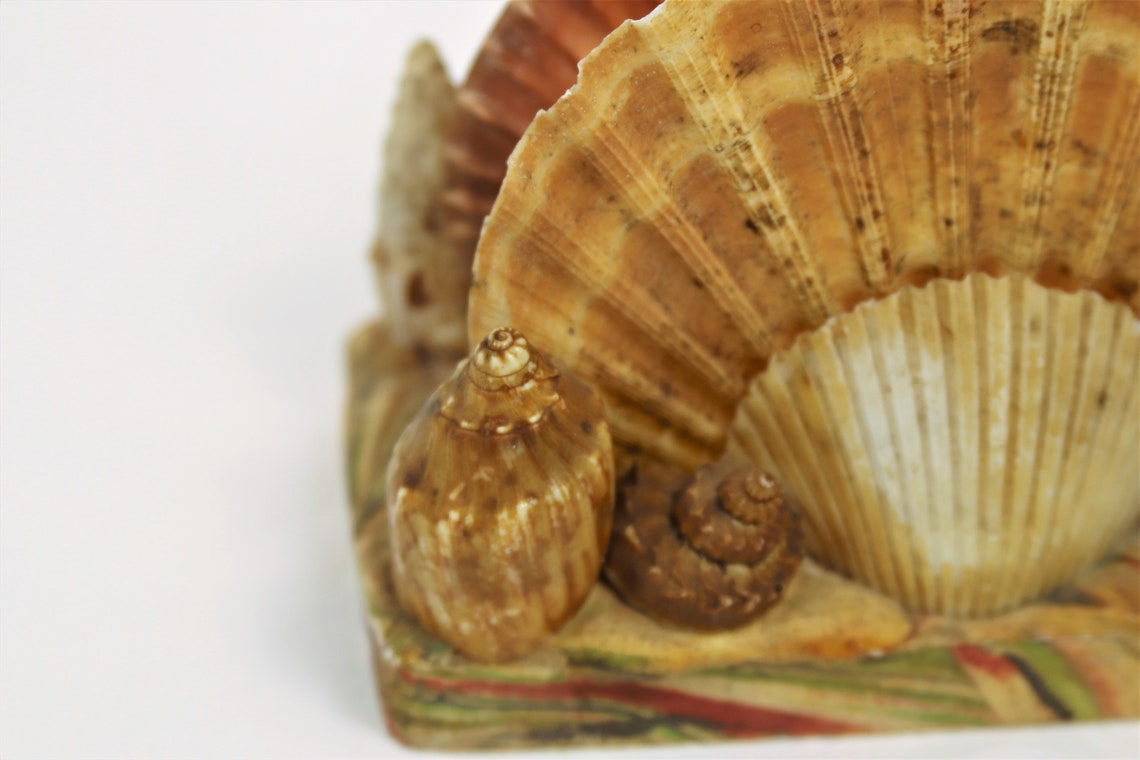 Shell Napkin Holder Beach Lake House Decor Real Shell Decor - Etsy
