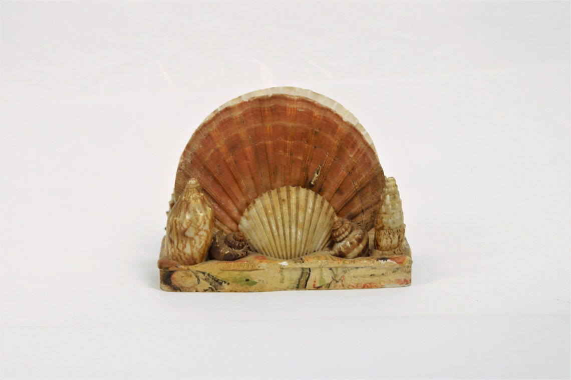 Shell Napkin Holder Beach Lake House Decor Real Shell Decor - Etsy