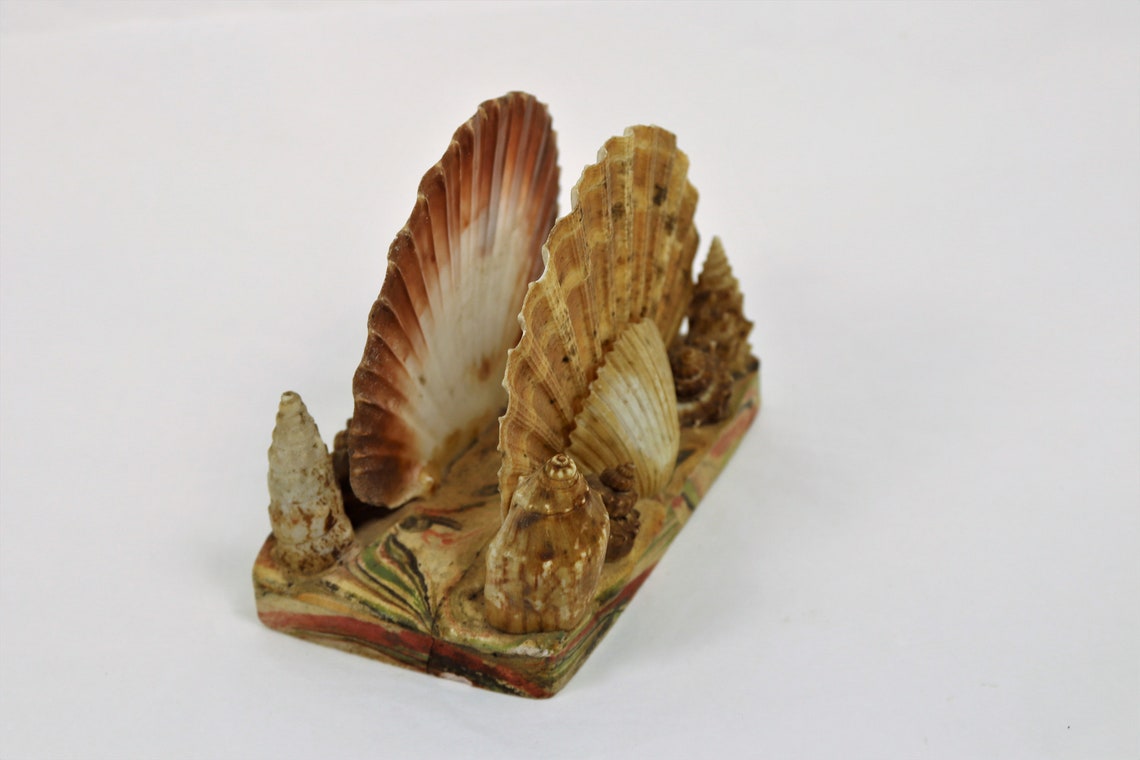Shell Napkin Holder Beach Lake House Decor Real Shell Decor - Etsy