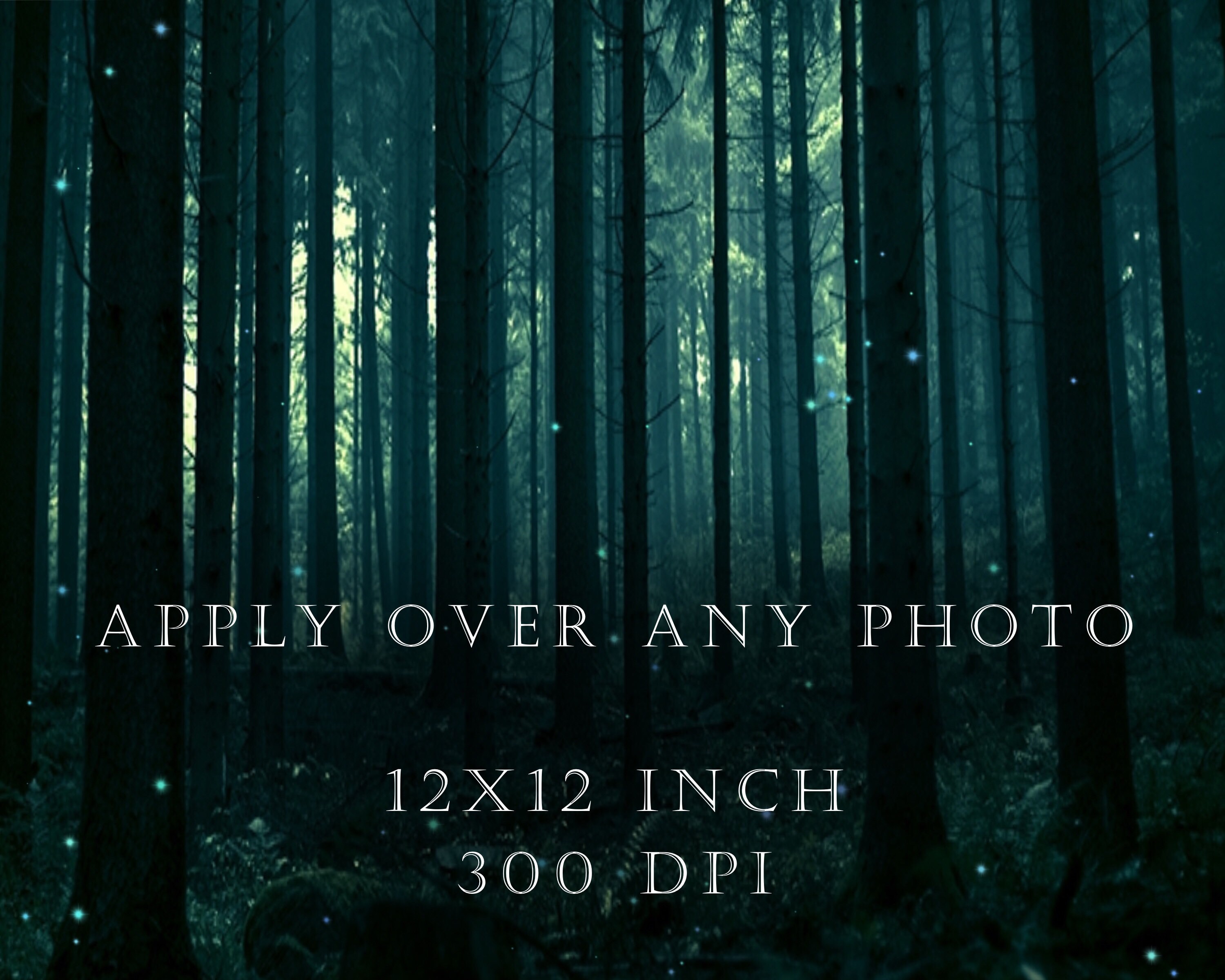 Firefly Photo Enhancer Overlay, Fairy Lights Background Overlay ...