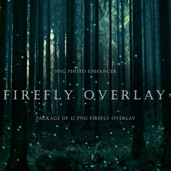 Firefly Clipart - Etsy