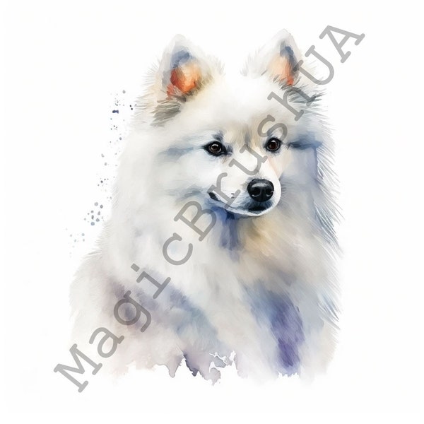 Japanese Spitz - Etsy