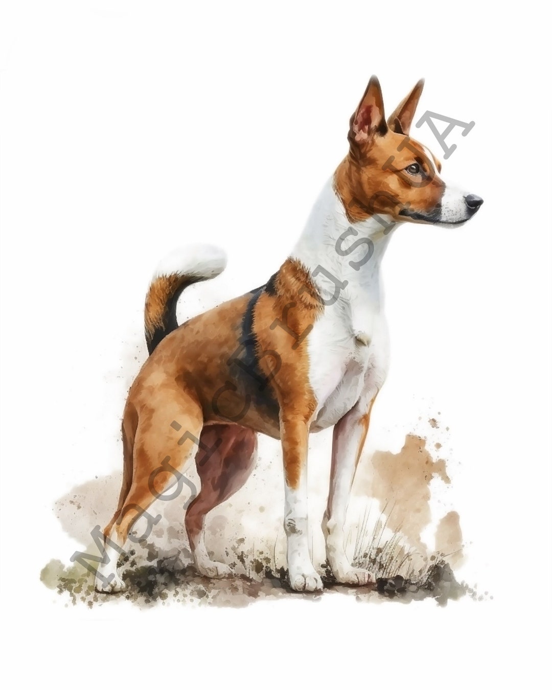Basenji 9 Portraits Set, Basenji Clipart, Commercial Use, Basenji ...