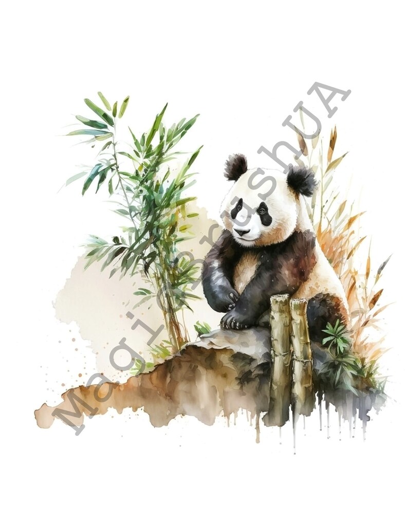 Panda 15 Portraits Set Panda Clipart Commercial Use Panda - Etsy