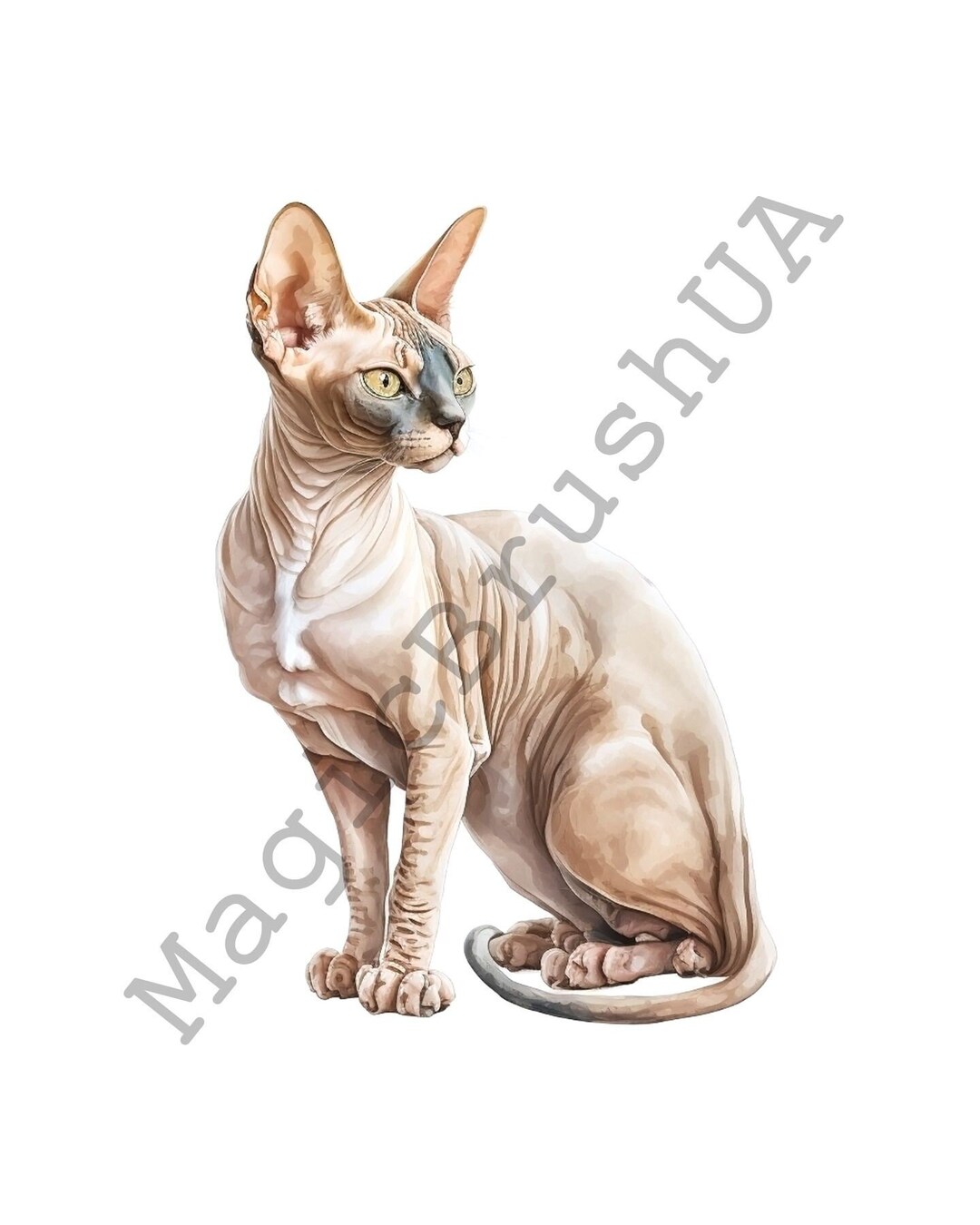 Sphynx Сat 9 Portraits Set, Sphynx Cat Clipart, Commercial Use, Digital Download, Stickers ...
