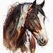 American Pinto Horse 11 Portraits Set American Pinto Horse - Etsy
