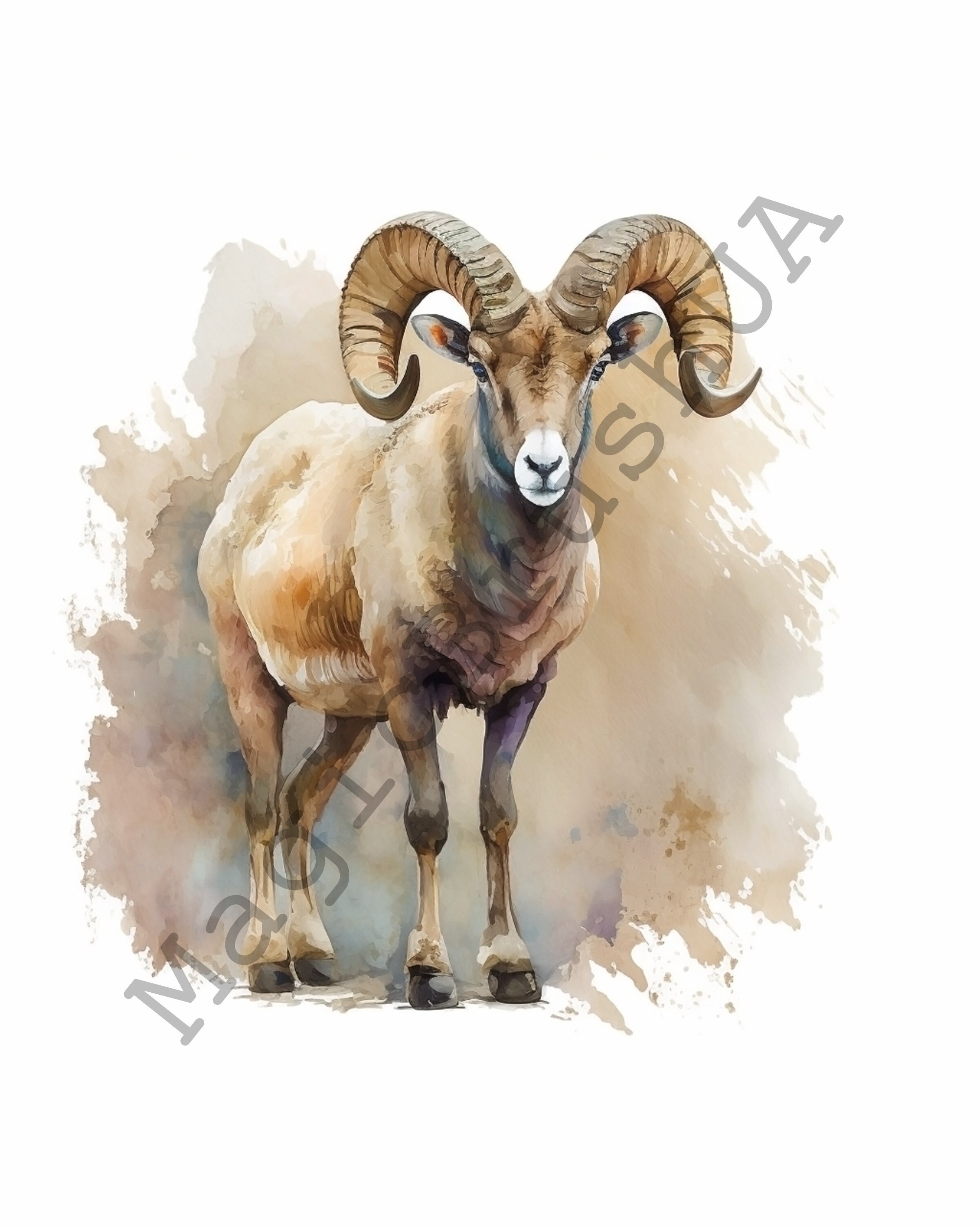 Ram 11 Portraits Set Ram Clipart Commercial Use Digital - Etsy Australia