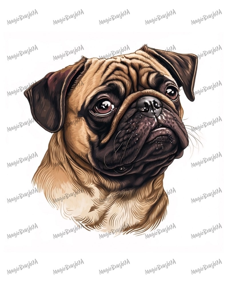 Pug Portraits Set Pug Clipart Classic Pug Portraits Bundle - Etsy