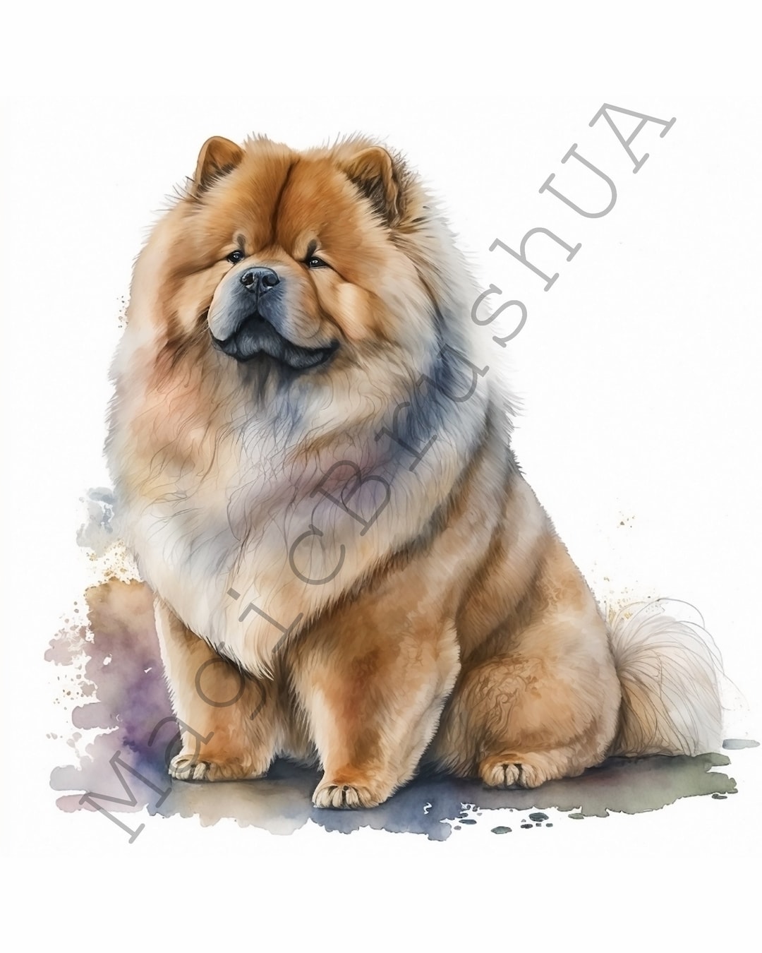 Chau Chau 21 Portraits Set, Chau Chau Clipart, Commercial Use, Digital ...