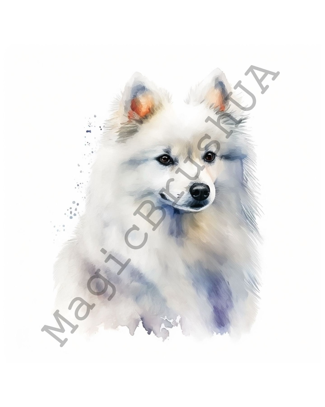 Japanese Spitz 9 Portraits Set, Japanese Spitz Clipart, Commercial Use ...