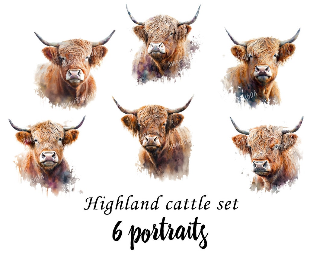 Highland Cattle Portraits Set, Highland Cattle Clipart, Commercial Use ...