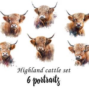 Highland Cattle Portraits Set, Highland Cattle Clipart, Commercial Use ...