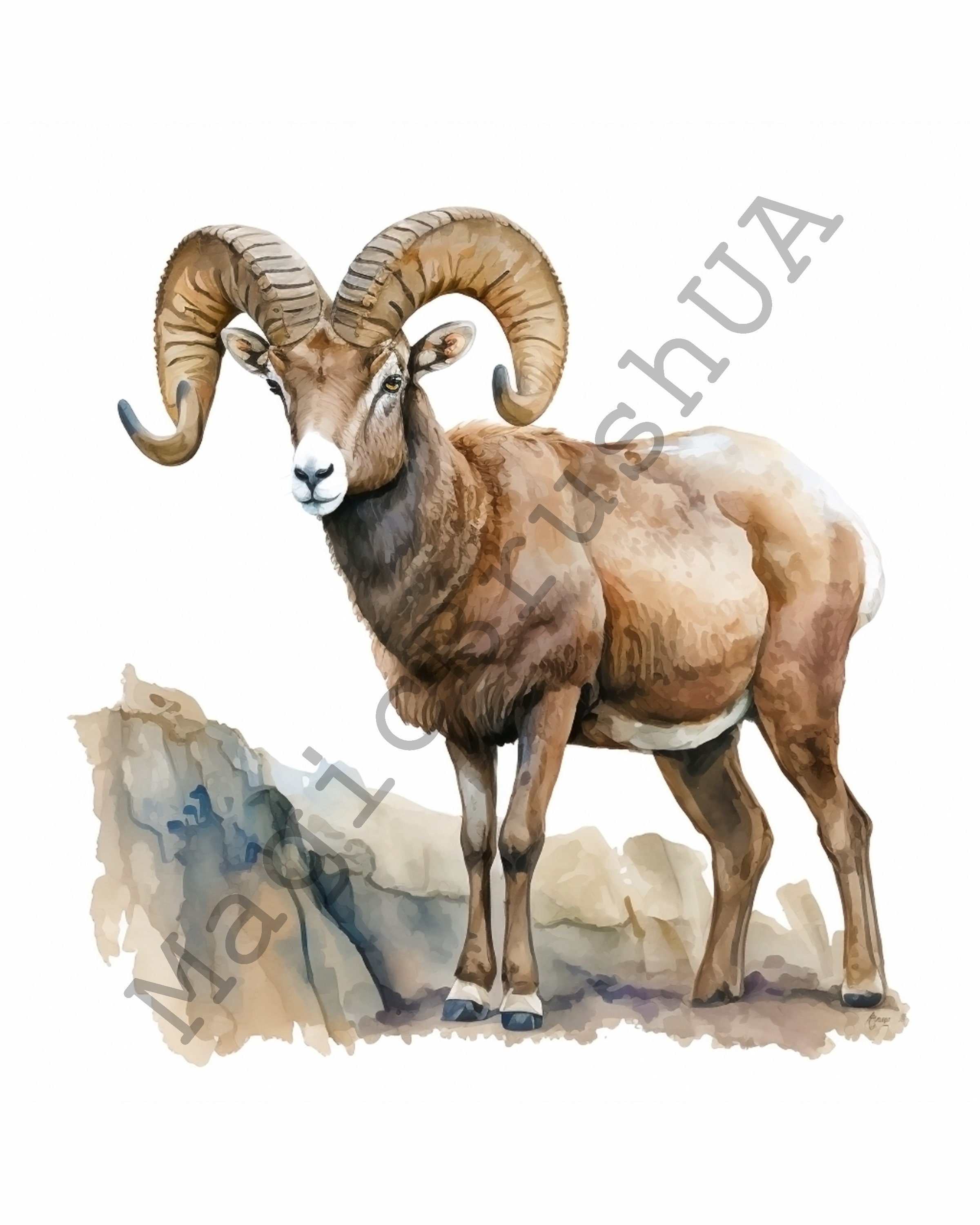 Ram 11 Portraits Set Ram Clipart Commercial Use Digital - Etsy Australia