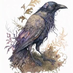Mysterious Crow 12 Portraits Set, Mysterious Crow Clipart,commercial Digital Download, Crow ...