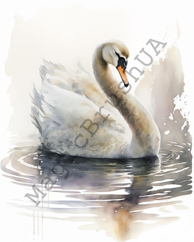 Swan Portraits Set Swan Clipart Swan Bundle Digital - Etsy