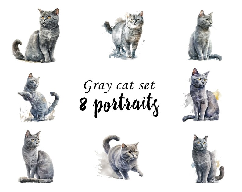 Gray Cat Portraits Set Gray Cat Clipart Christmas Gift - Etsy