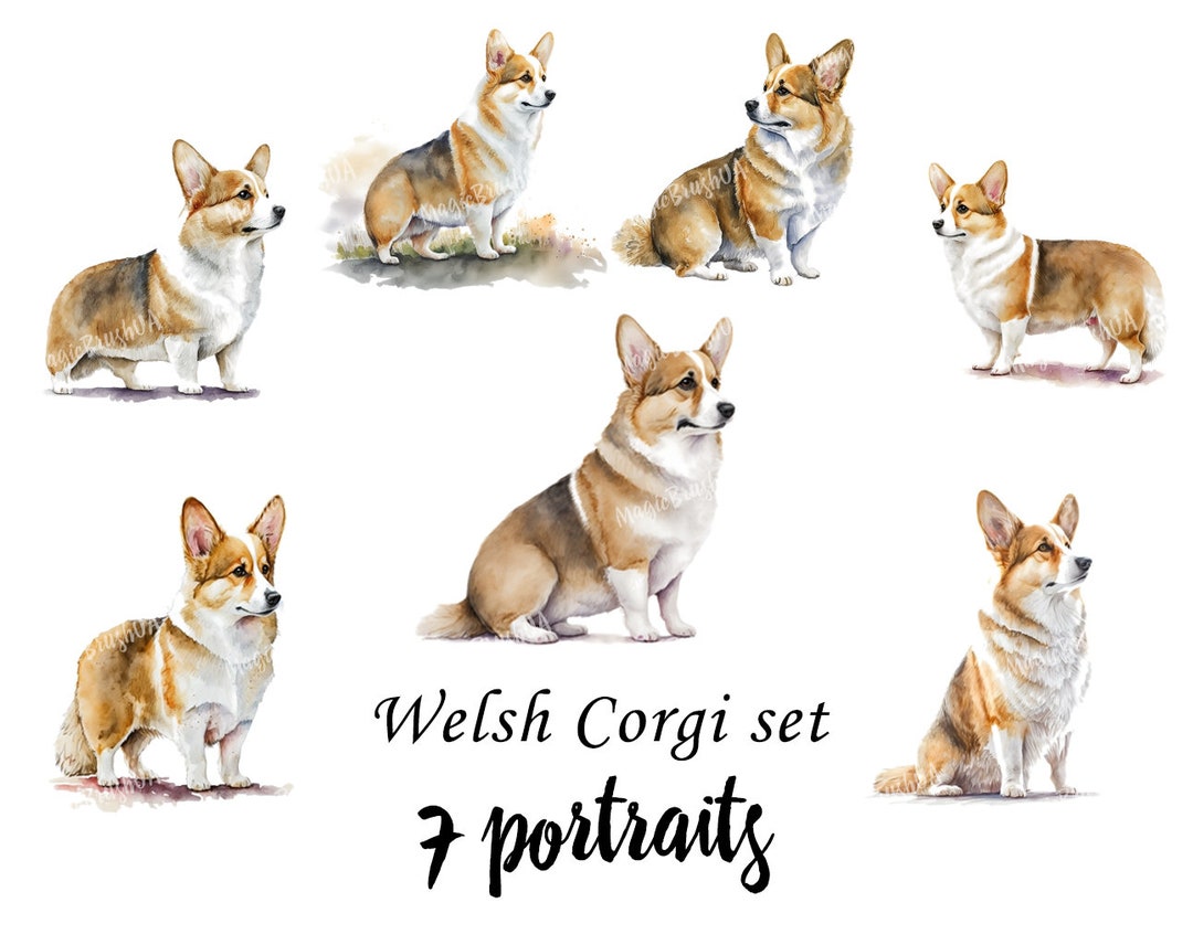 Welsh Corgi Set, Welsh Corgi Clipart, Corgi Bundle, Digital Download ...